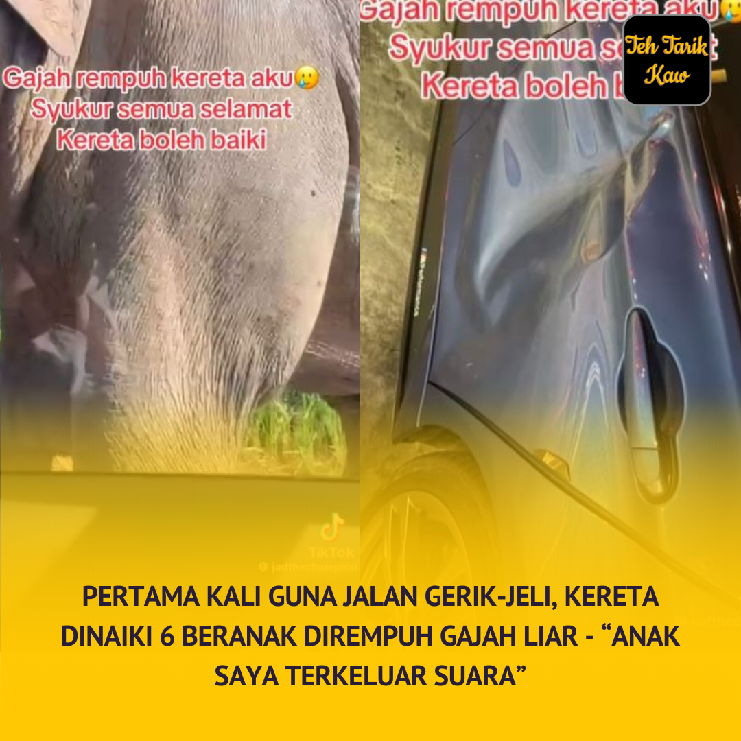 Pertama kali guna Jalan Gerik-Jeli, kereta dinaiki 6 beranak dirempuh gajah liar – “Anak saya ...