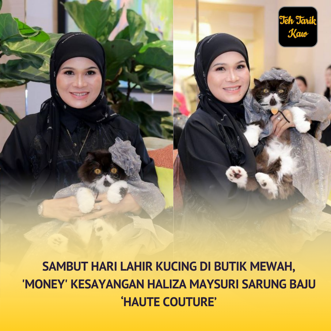 Sambut hari lahir kucing di butik mewah, ‘Money’ kesayangan Haliza Maysuri sarung baju ‘haute ...